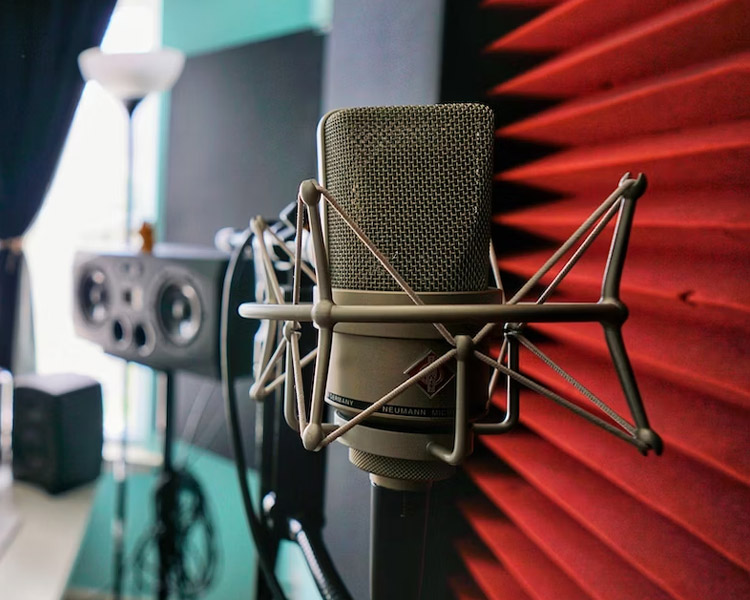 Guide d'achat Microphone studio - Star's Music