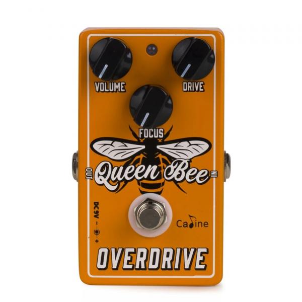 Caline CP503 Queen Bee Overdrive Overdrive, distortion & fuzz effect pedal