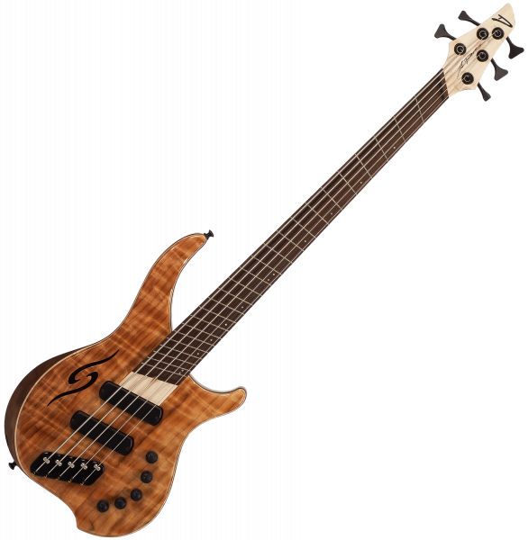 Dingwall Afterburner II 2-Pickups 5-String (WEN) +Bag - natural Basse ...