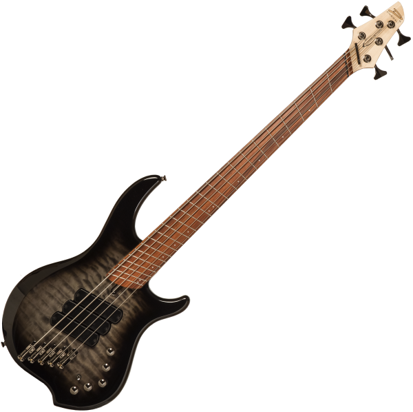 Dingwall Combustion 5 3-Pickups (PF) - 2-tone blackburst Solid body ...