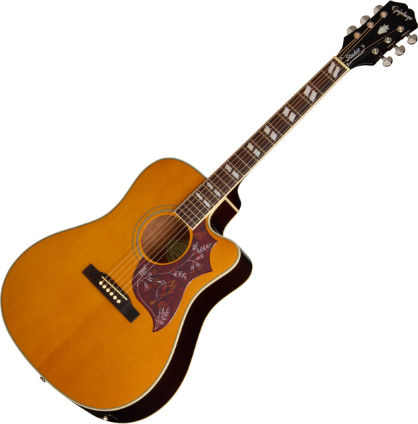 Epiphone IBG Hummingbird Studio EC - natural Folk guitar