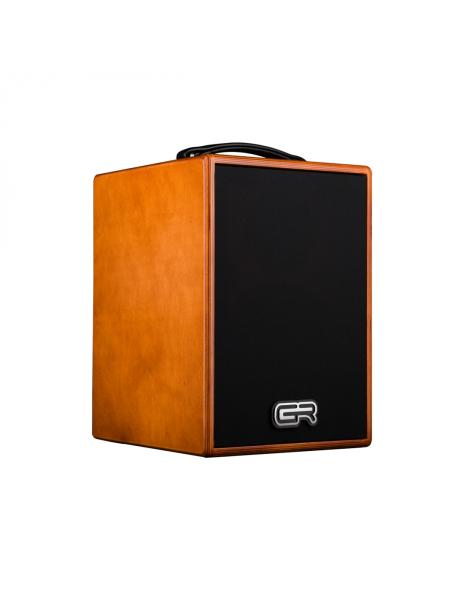 Gr bass WD Acoustic 8 Acoustic guitar combo amp