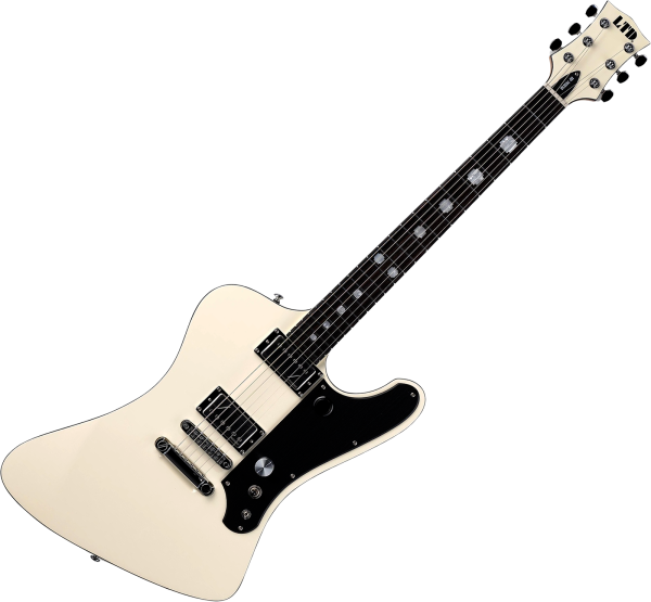 Ltd Richard ZK RZK-III Signature electric guitar