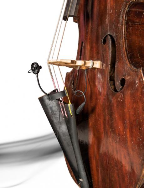 Prodipe BL21 Lanen Contrebasse