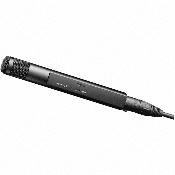 MKH30 P48 Mic & Wireless Sennheiser